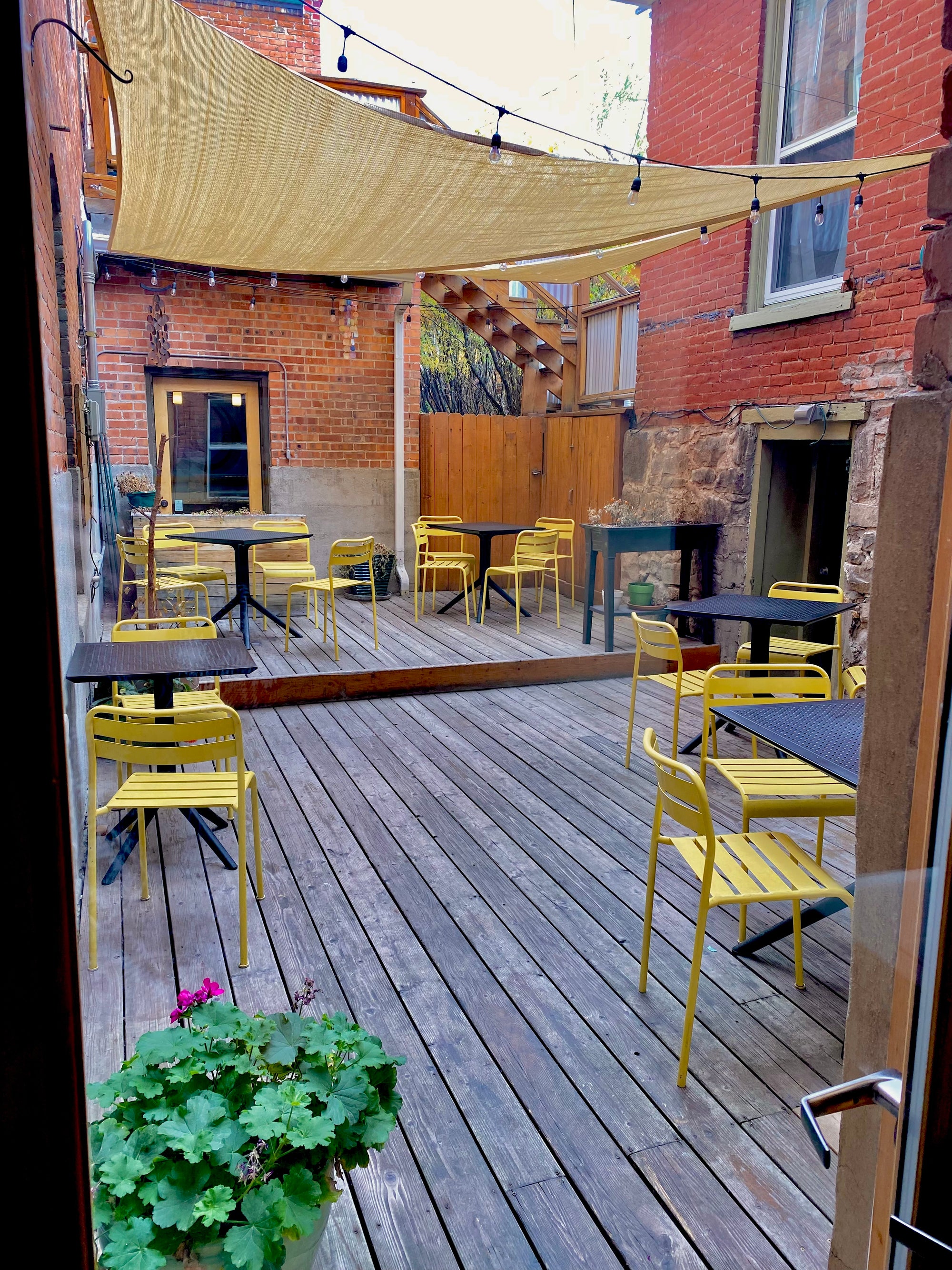 Home | the hummingbird cafe